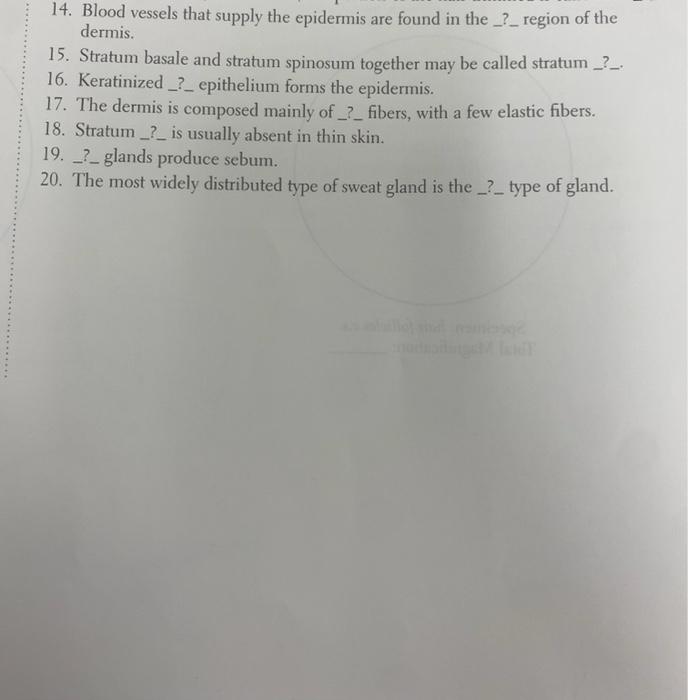 Solved 14. Blood vessels that supply the epidermis are found | Chegg.com