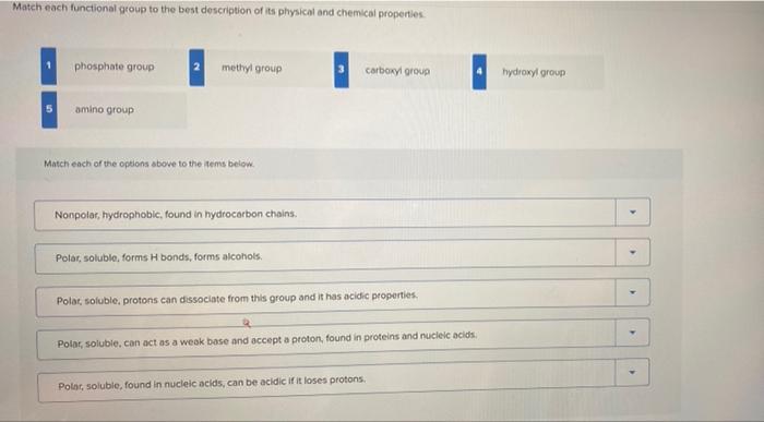 Solved Match each functional group to the best description | Chegg.com