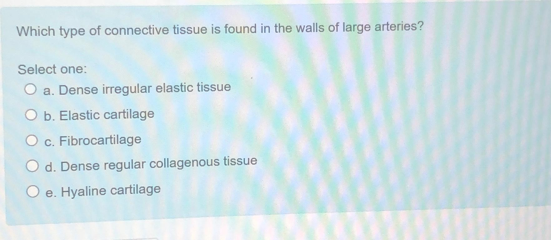 Solved Which type of connective tissue is found in the walls | Chegg.com