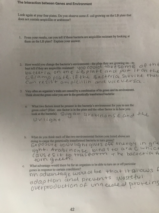 Solved The Interaction between Genes and Environment Look | Chegg.com