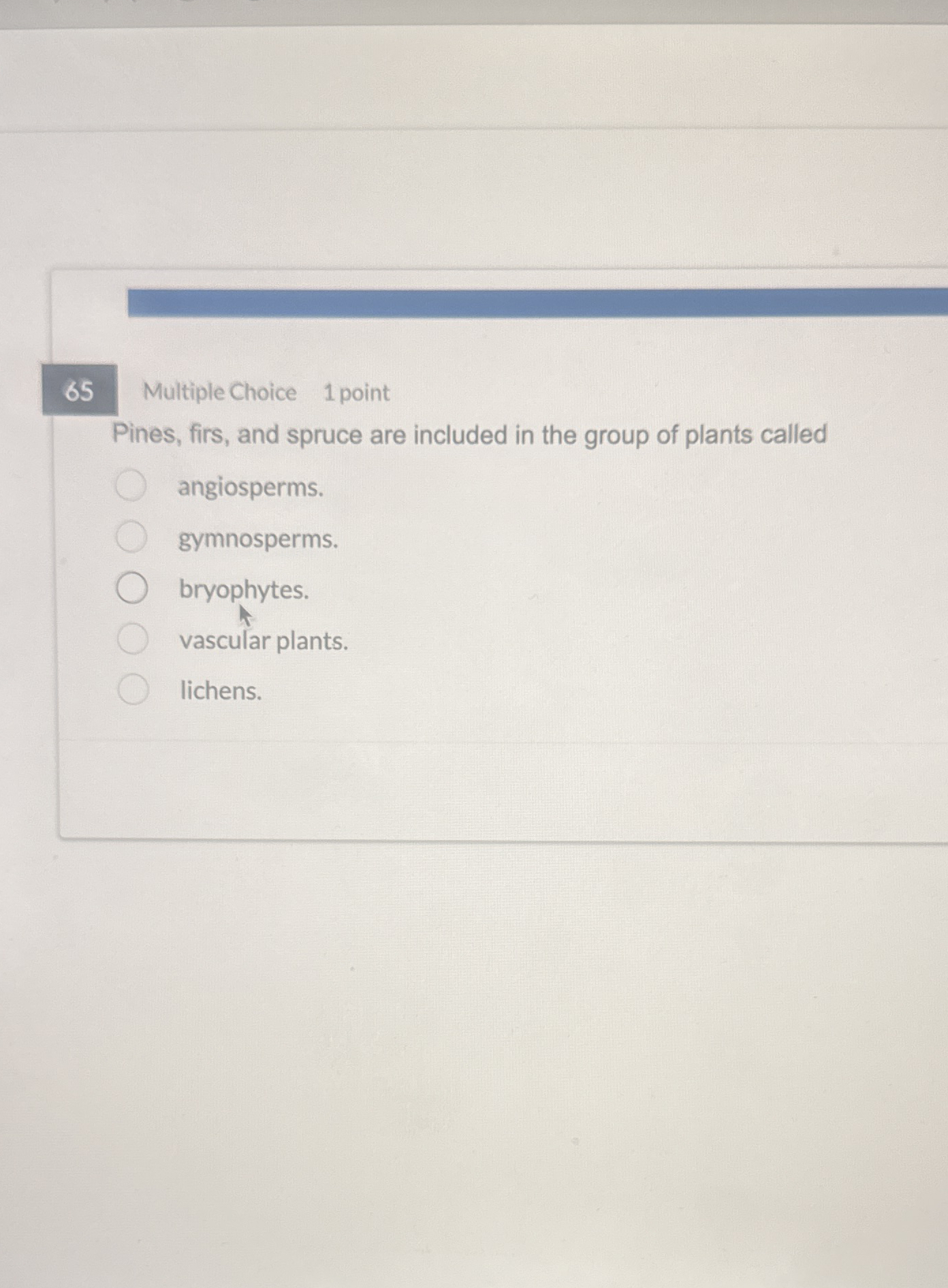 Solved Multiple Choice 1 ﻿pointPines, firs, and spruce are | Chegg.com