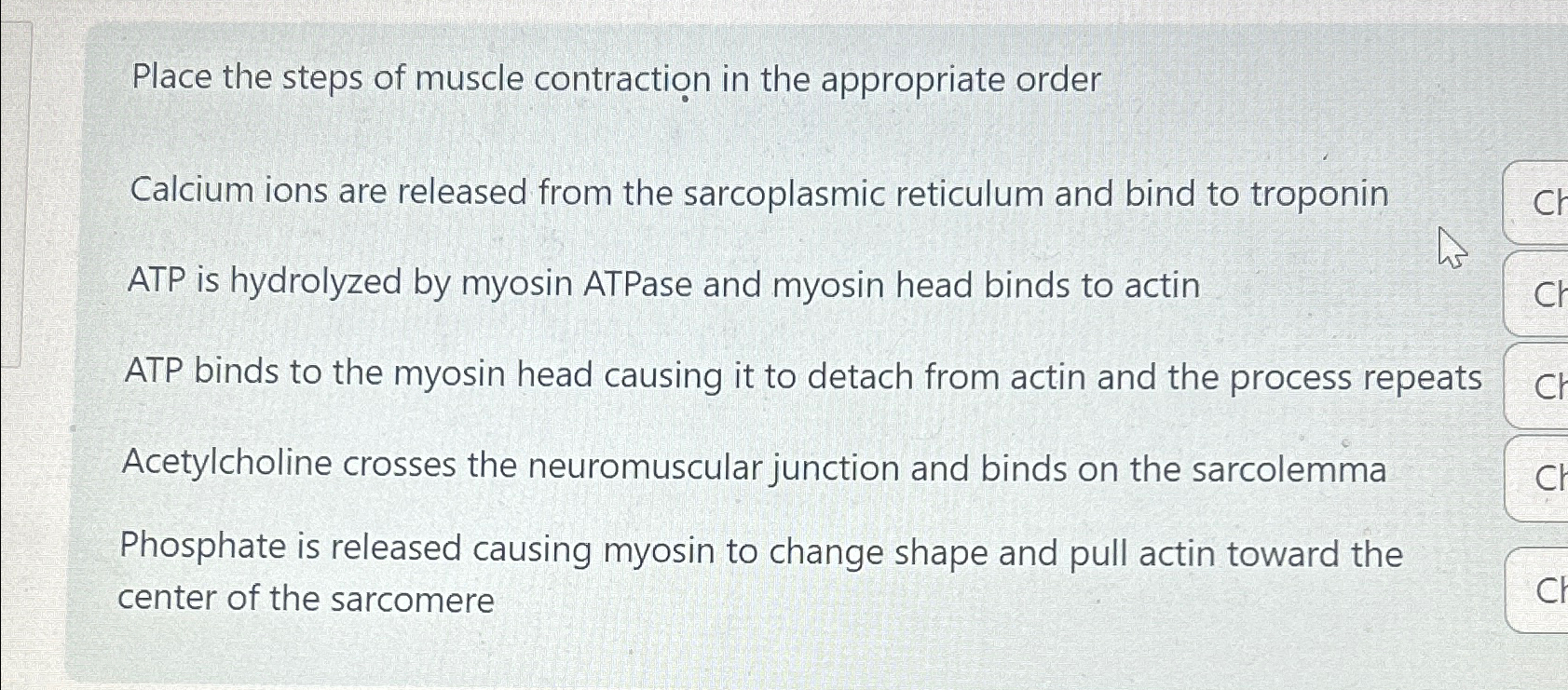 Solved Place the steps of muscle contraction in the | Chegg.com