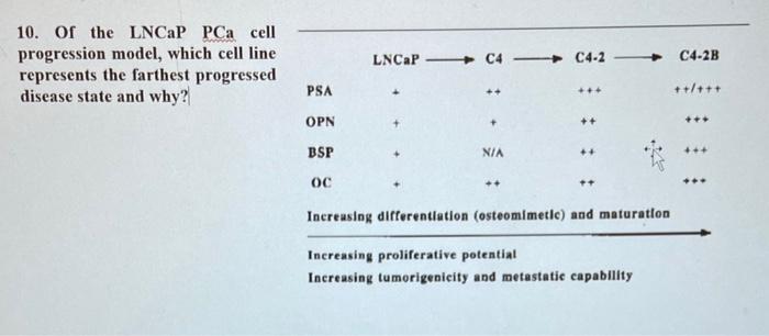 10. Of the LNCaP PCa cell progression model, which | Chegg.com