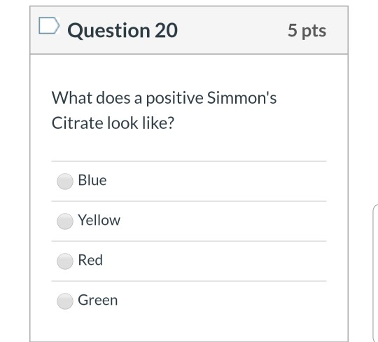 Solved Question 13 5 pts In order, what are the Gram | Chegg.com Solved Question 13 5 pts In order, what are the Gram | Chegg.com