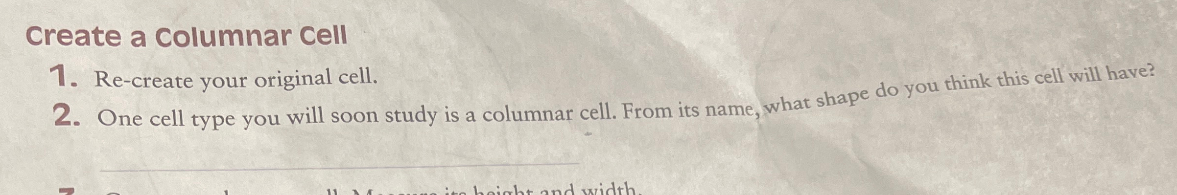 Solved Create a columnar cellRe-create your original | Chegg.com