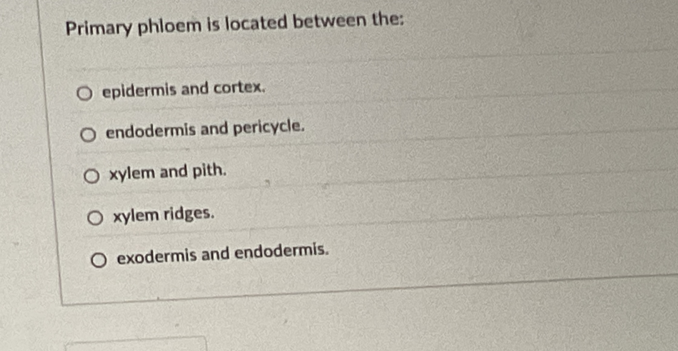Solved Primary phloem is located between the:epidermis and | Chegg.com