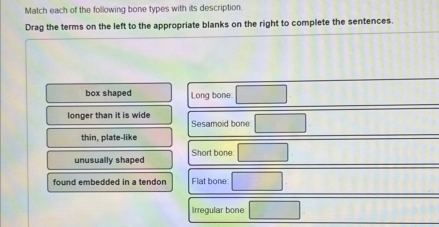 Solved Match each of the following bone types with its | Chegg.com