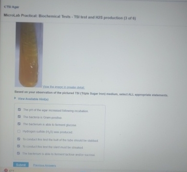 Solved TSi AgarMicrolats Practical: Biochemical Tests - ﻿TSI | Chegg.com