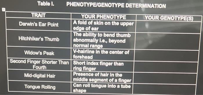 Solved Table I. PHENOTYPE/CENOTYPE DETERMINATION | Chegg.com