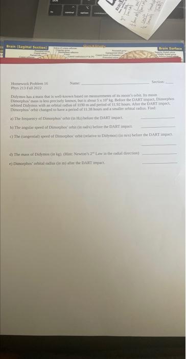 Didymos has a mass that is well-known based on | Chegg.com