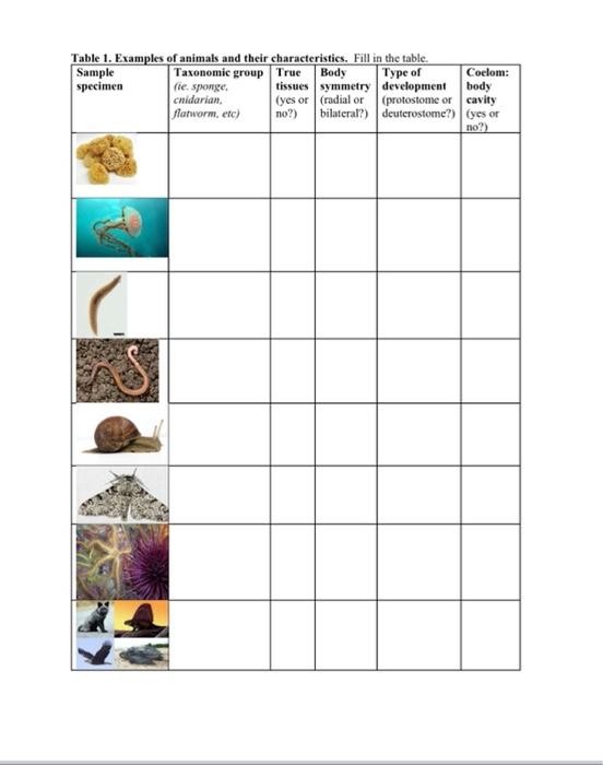 Solved Table 1. Examples of animals and their | Chegg.com