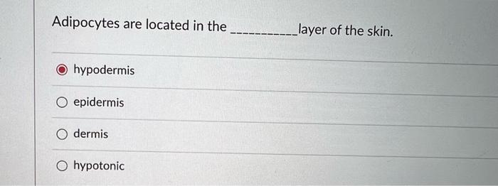 Solved Adipocytes are located in the layer of the skin. | Chegg.com