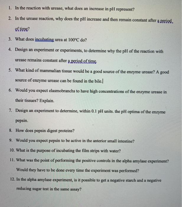Solved 1. In the reaction with urease, what does an increase | Chegg.com