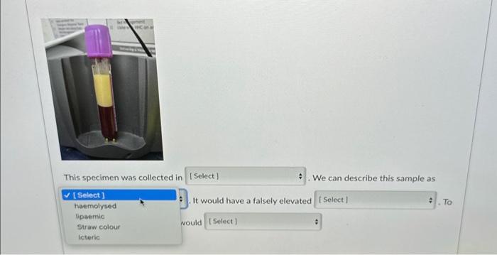 Solved This specimen was collected in We can describe this | Chegg.com