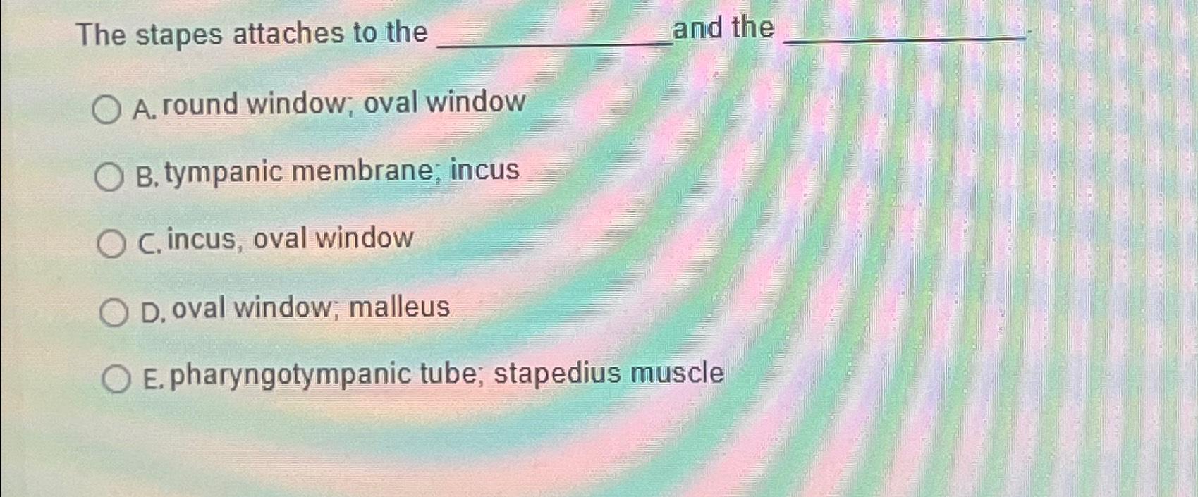Solved The stapes attaches to the and theA. ﻿round window; | Chegg.com