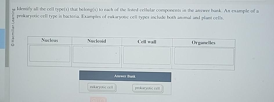 Solved Identify all the cell type(s) ﻿that belong(s) ﻿to | Chegg.com