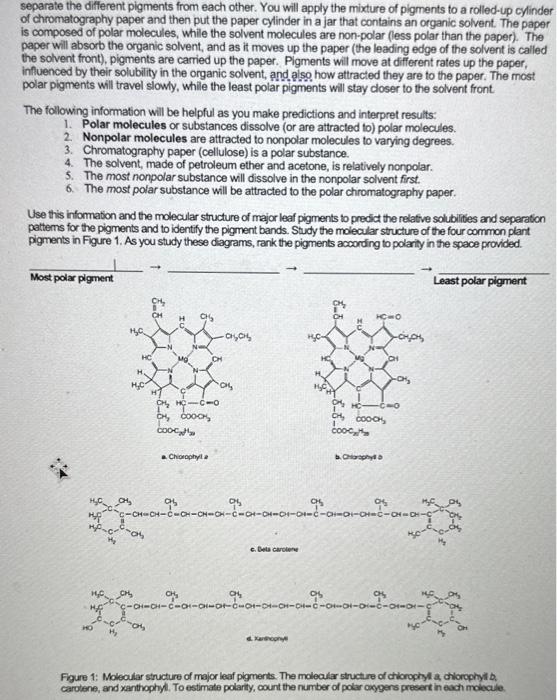 Solved separate the different pigments from each other. You | Chegg.com