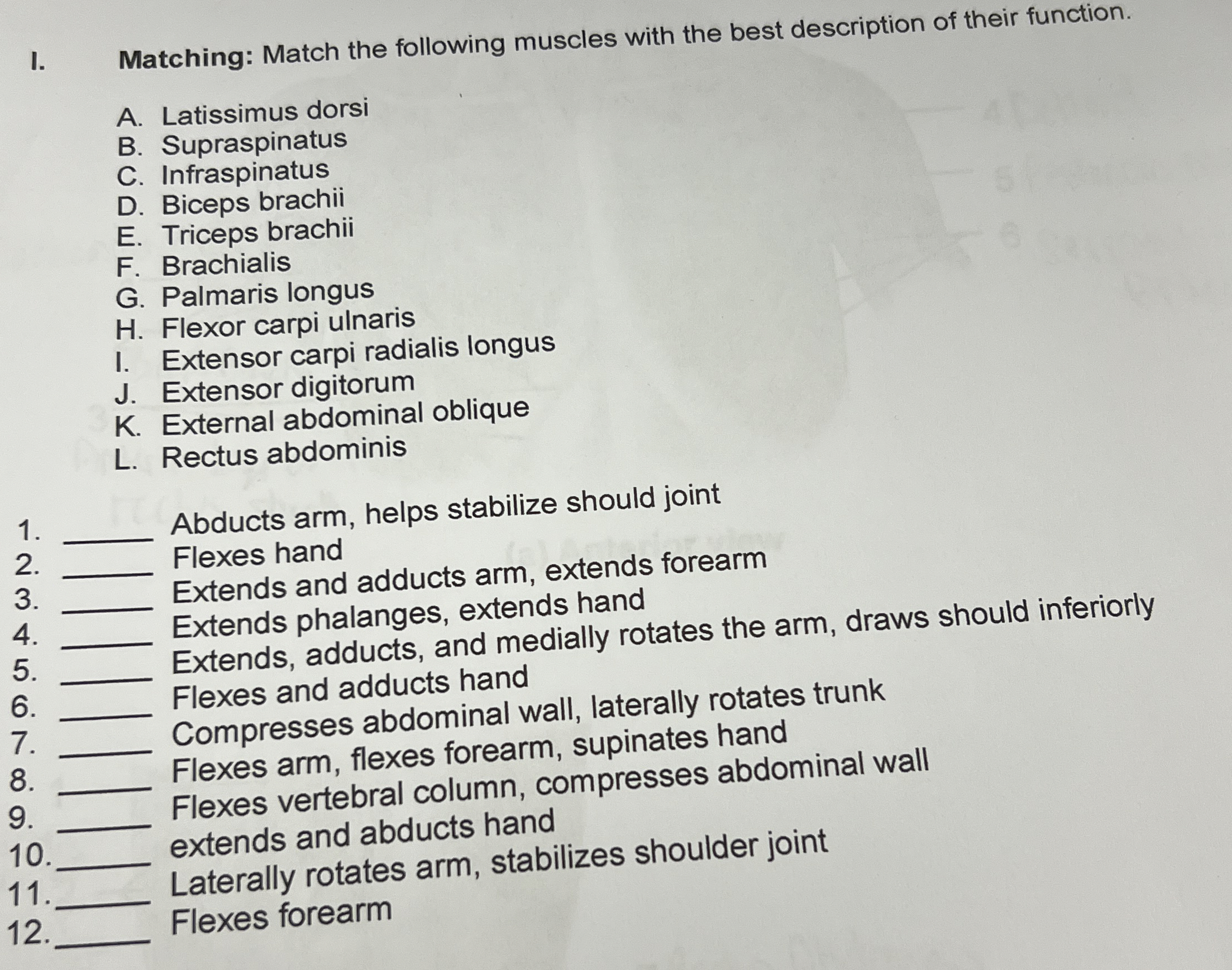 Solved I. Matching: Match the following muscles with the | Chegg.com