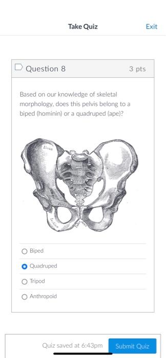Based on our knowledge of skeletal morphology. does | Chegg.com