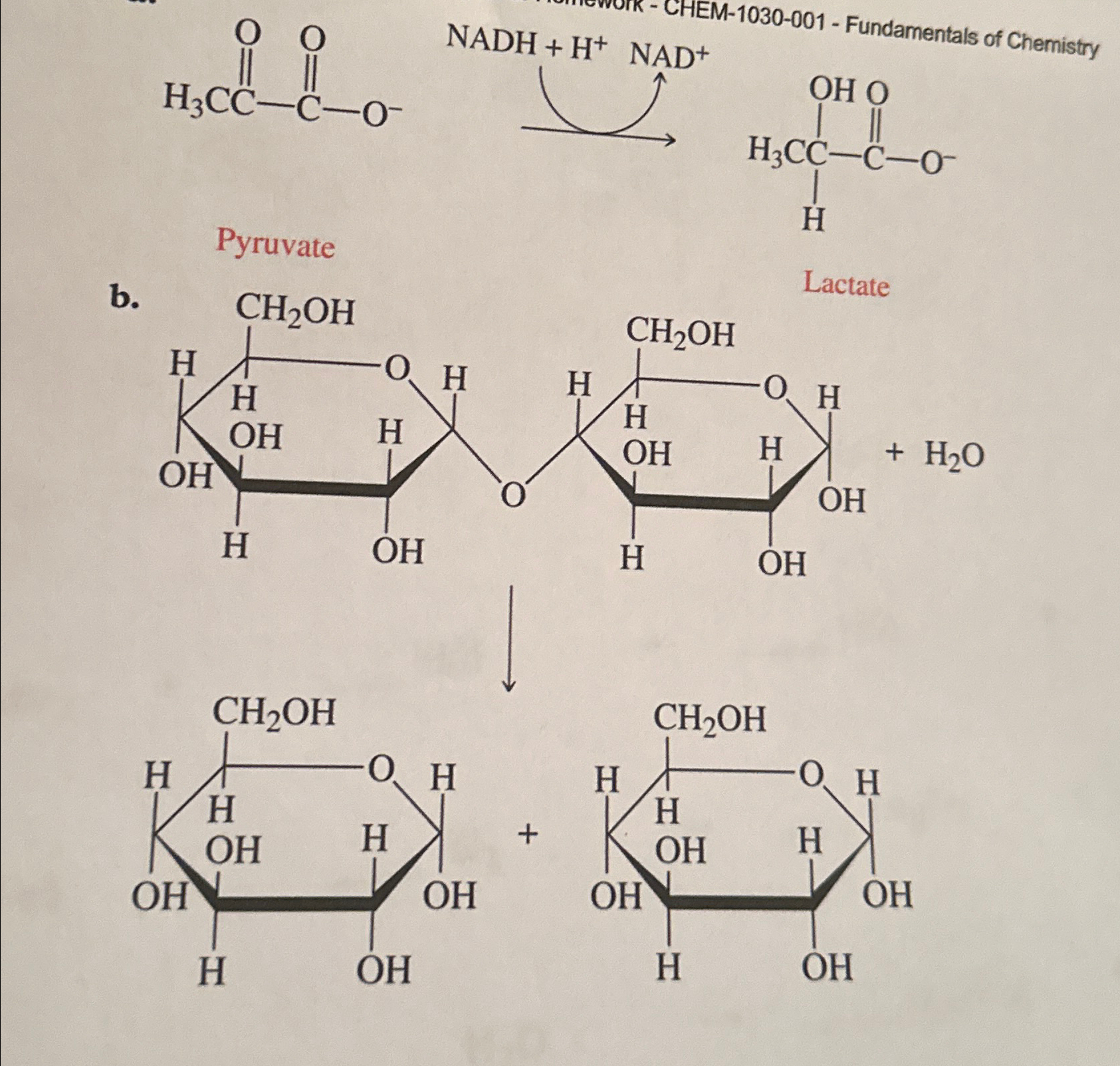 Solved Identify the main organic reaction below as | Chegg.com