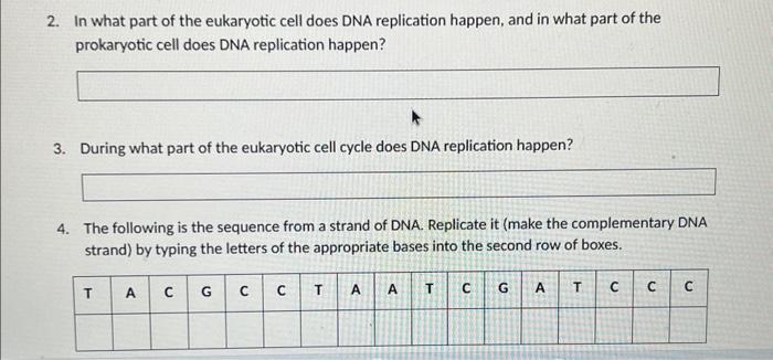 Solved In what part of the eukaryotic cell does DNA | Chegg.com