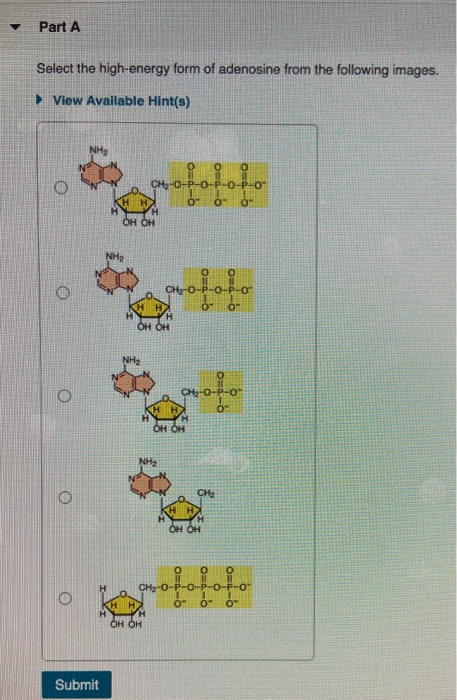 Solved Part A Select the high-energy form of adenosine from | Chegg.com