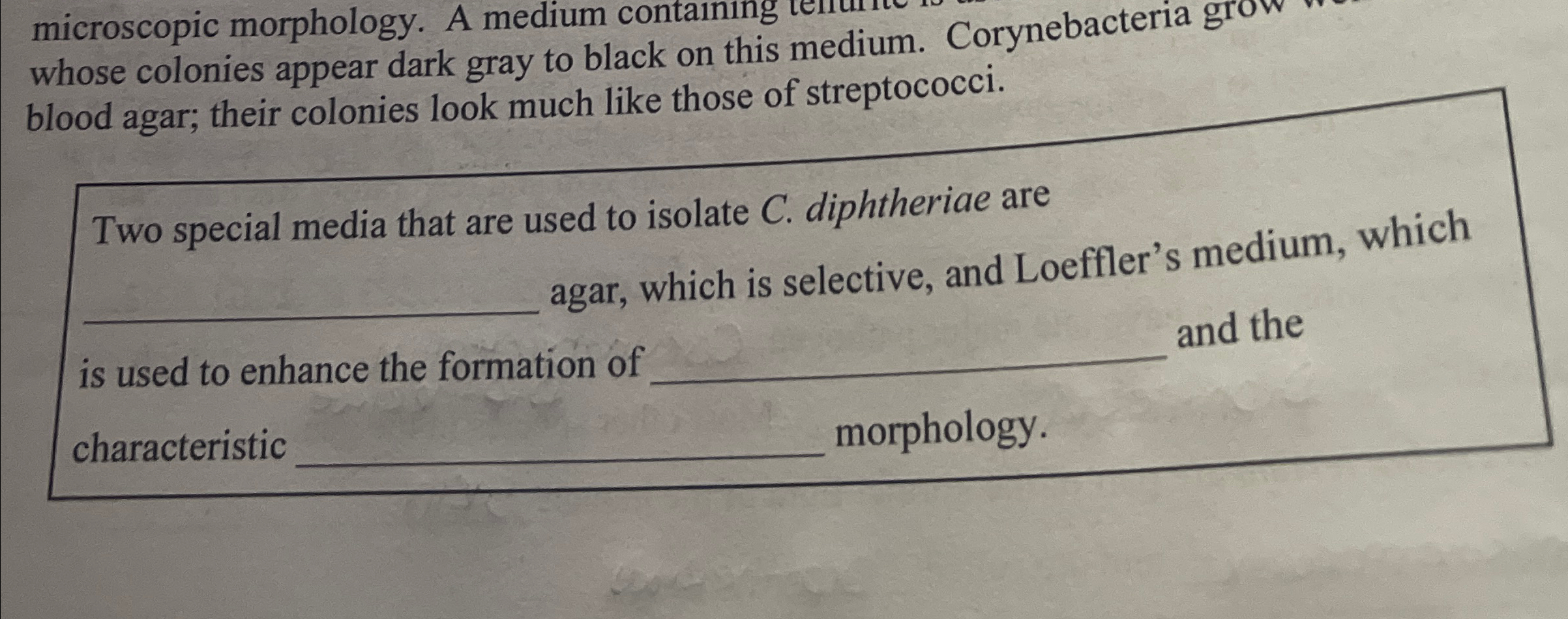 Solved microscopic morphology. A medium contalning whose | Chegg.com