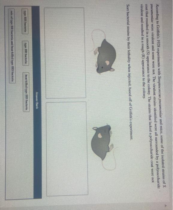 Solved According to Griffith's 1928 experiments with | Chegg.com