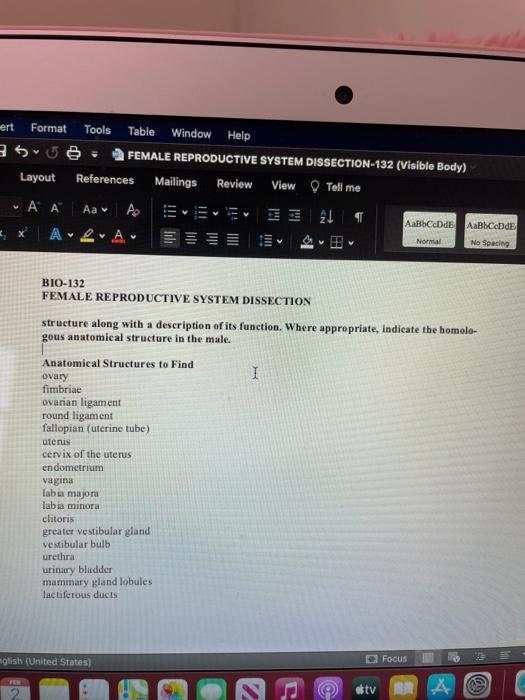 Solved ert Format Tools Table Window Help FEMALE | Chegg.com