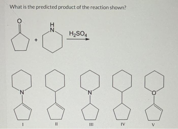 Solved What is the predicted product of the reaction shown? | Chegg.com