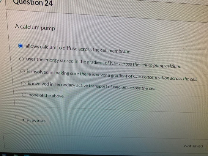 Solved Question 24 A calcium pump allows calcium to diffuse | Chegg.com