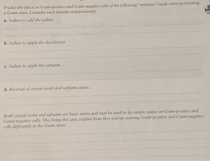 Solved Predict the effect on Gram-positive and Gram-negative | Chegg.com