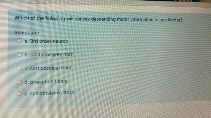 Solved Which of the following, regions of the hypothalamus, | Chegg.com