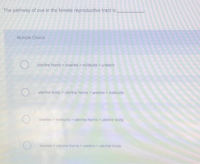 Solved The pathway of ova in the female reproductive tract | Chegg.com
