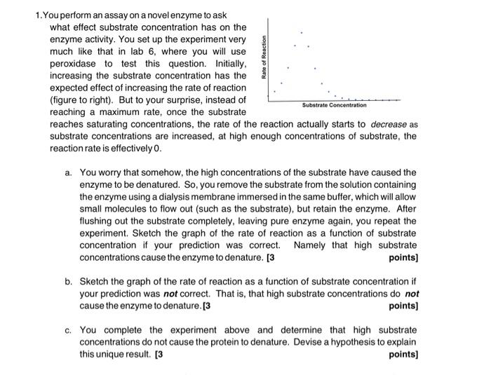 Solved Rate Of Reaction Substrate Concentration 1 You