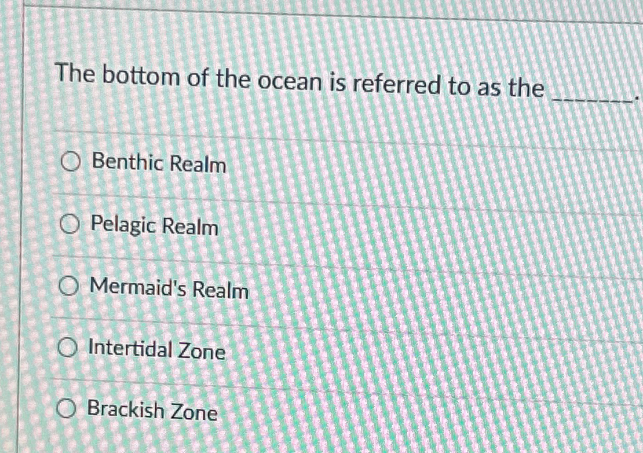 Solved The bottom of the ocean is referred to as theBenthic | Chegg.com
