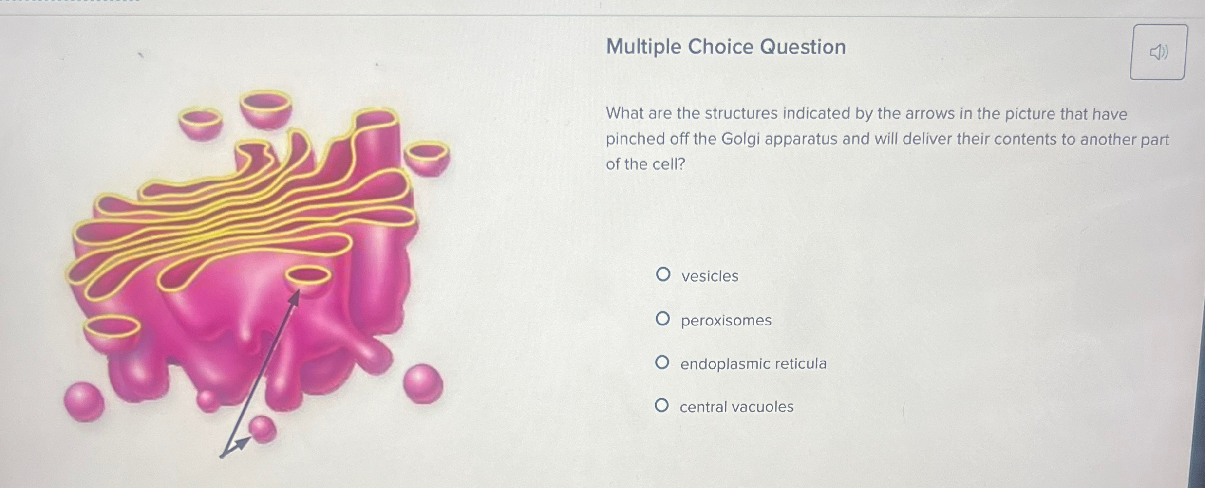 Solved Multiple Choice QuestionWhat are the structures | Chegg.com