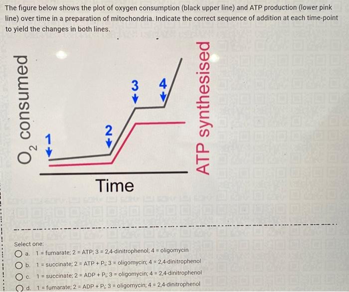 Solved The figure below shows the plot of oxygen consumption | Chegg.com