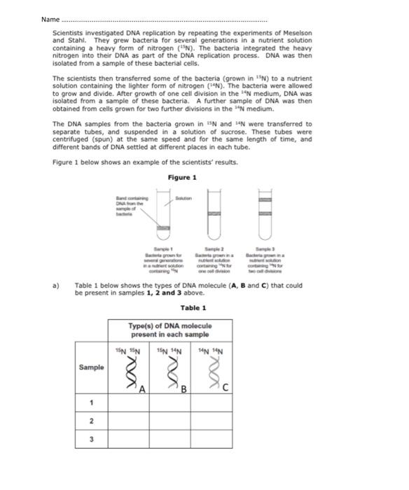 Solved Name Scientists investigated DNA replication by | Chegg.com