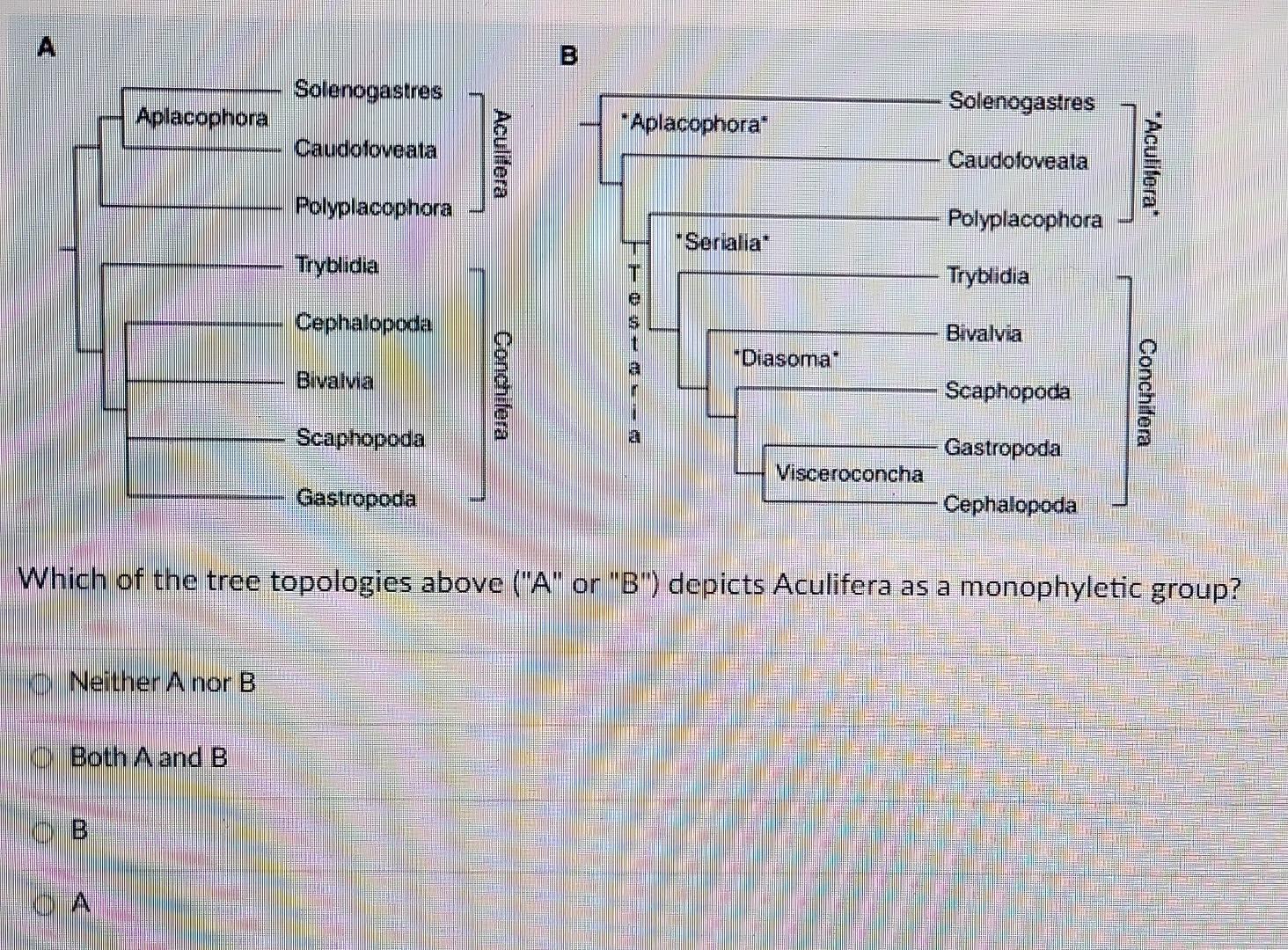 Solved Which of the tree topologies above ("A" or "B") | Chegg.com