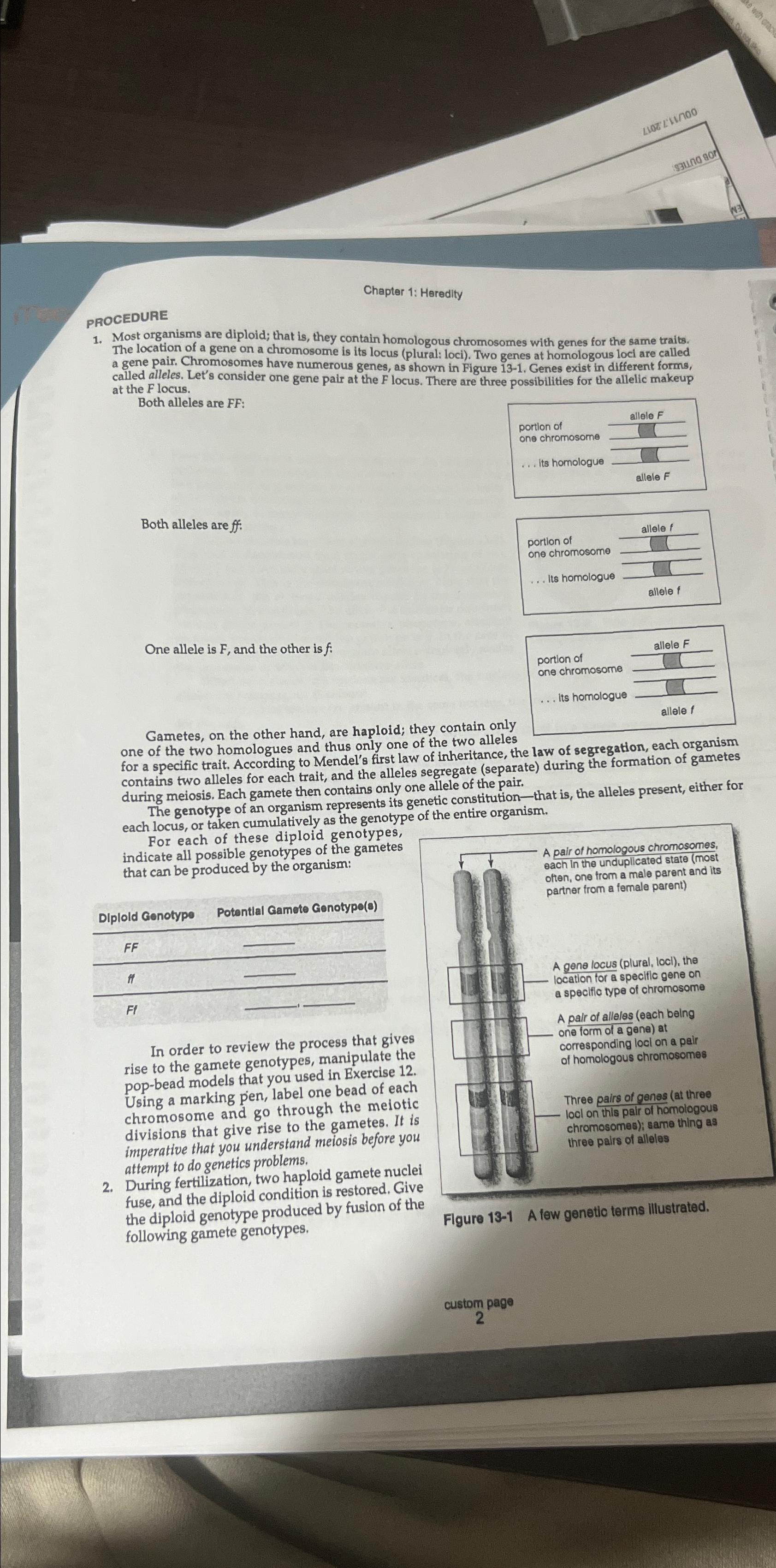 Solved Chapter 1: HeredityPROCEDUREMost organisms are | Chegg.com