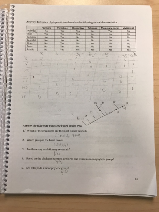 Solved Activity 2: Create a phylogenetic tree based on the | Chegg.com