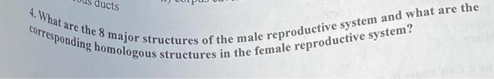 What are the 8 major structures of the male | Chegg.com