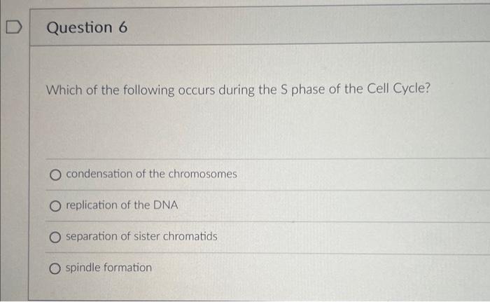Solved Which of the following occurs during the S phase of | Chegg.com