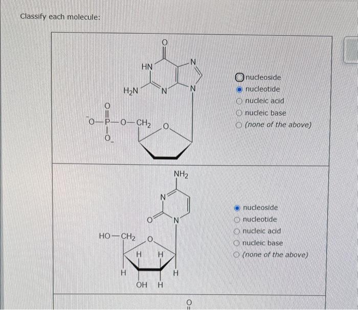 Solved Classify each molecule: nucleoside nucleotide nucleic | Chegg.com