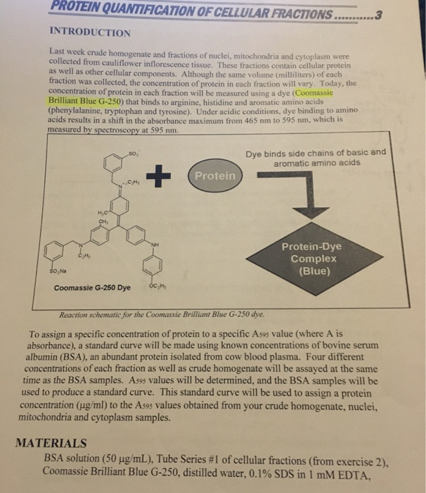 PROTEIN QUANTIFICATION OF CELLULAR FRACTIONS | Chegg.com