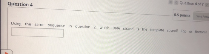 Solved Question 2 1 points An E. coli transcript with the | Chegg.com