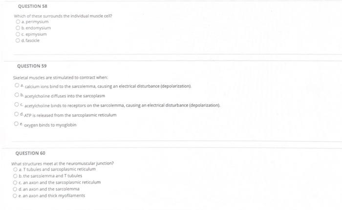 Solved QUESTION 58 Which of these surrounds the individual | Chegg.com