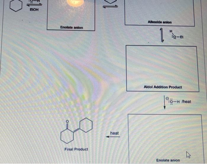 Solved Alkoxide anion Enolate anion Aldol Addition Product | Chegg.com
