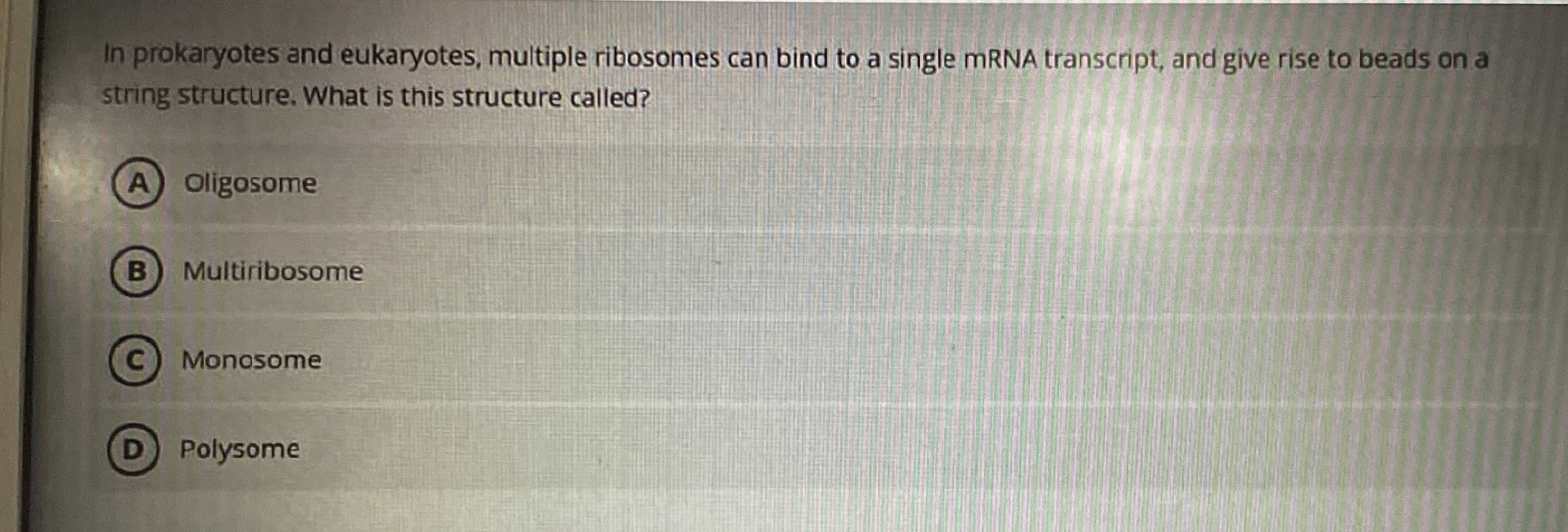 High Quality SOLUTION In prokaryotes and eukaryotes, multiple ribosomes ...